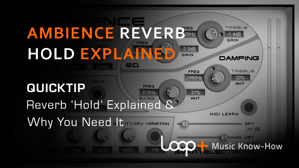 Ambience Reverb ‘Hold’ Function Explained - Loop+ Quick Tip