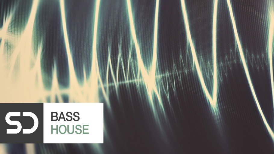 Sample Diggers - Bass House at www.loopmasters.com