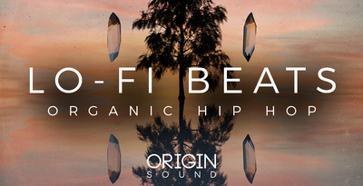 Origin Sound, Lofi Beats, Organic Hip Hop, hip Hop Drum Loops, Bass ...
