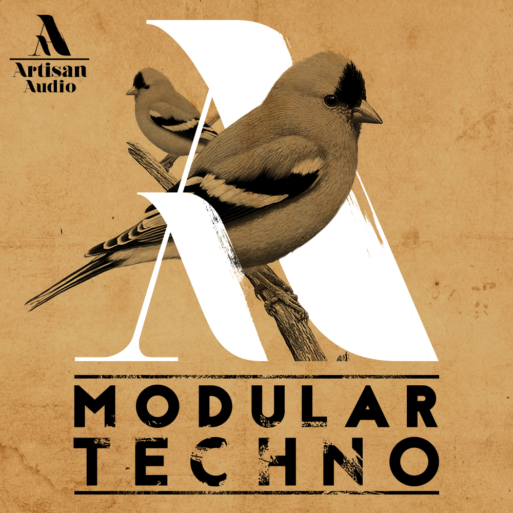 Modular Techno Sample Pack, Deep Techno Sounds, Minimal Tech Loops