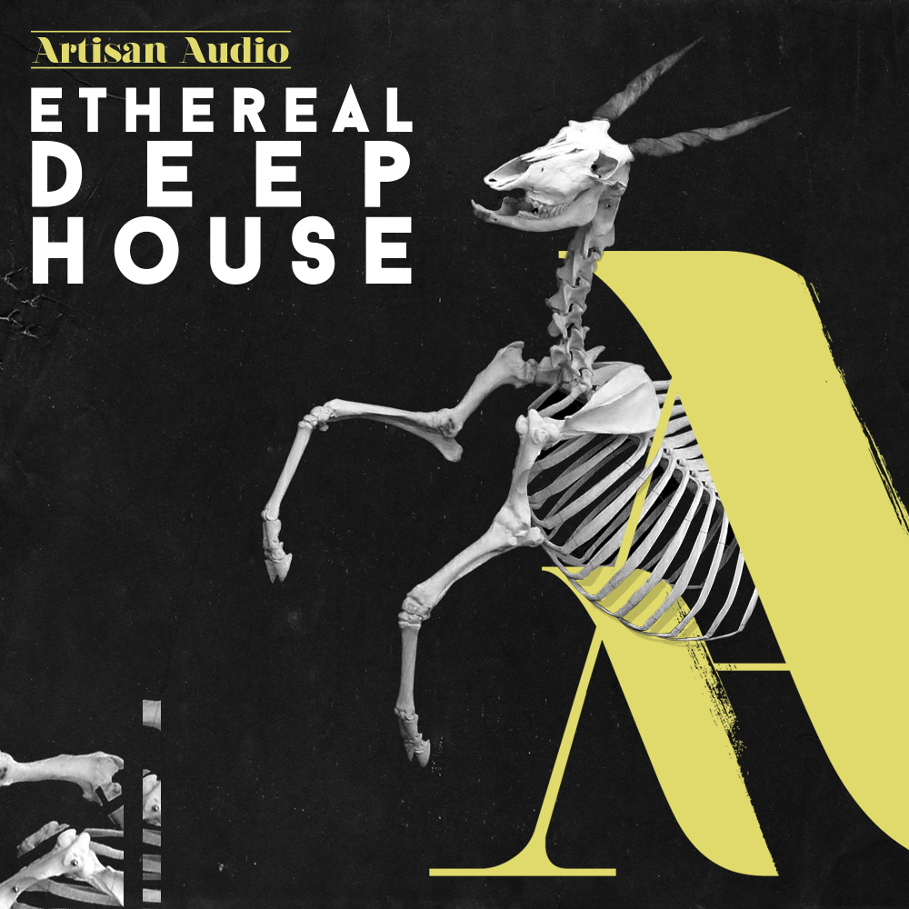 Deep House Synths, Downtempo House Drums, Synthwave Melodies, Effected