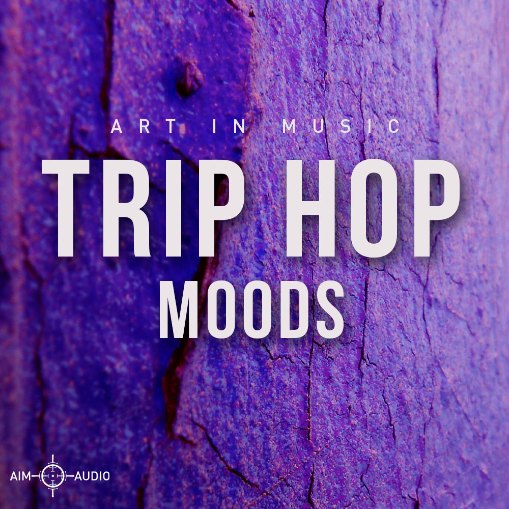 Trip Hop Moods, 90's Trip Hop Sounds, Downtempo Drum Breaks, Trip Hop