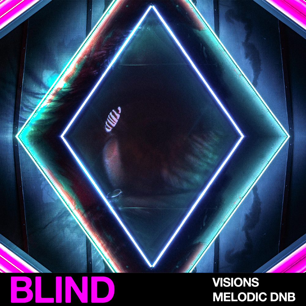 Visions - Melodic DNB, Blind Audio, High Energy Drum & Bass Samples,
