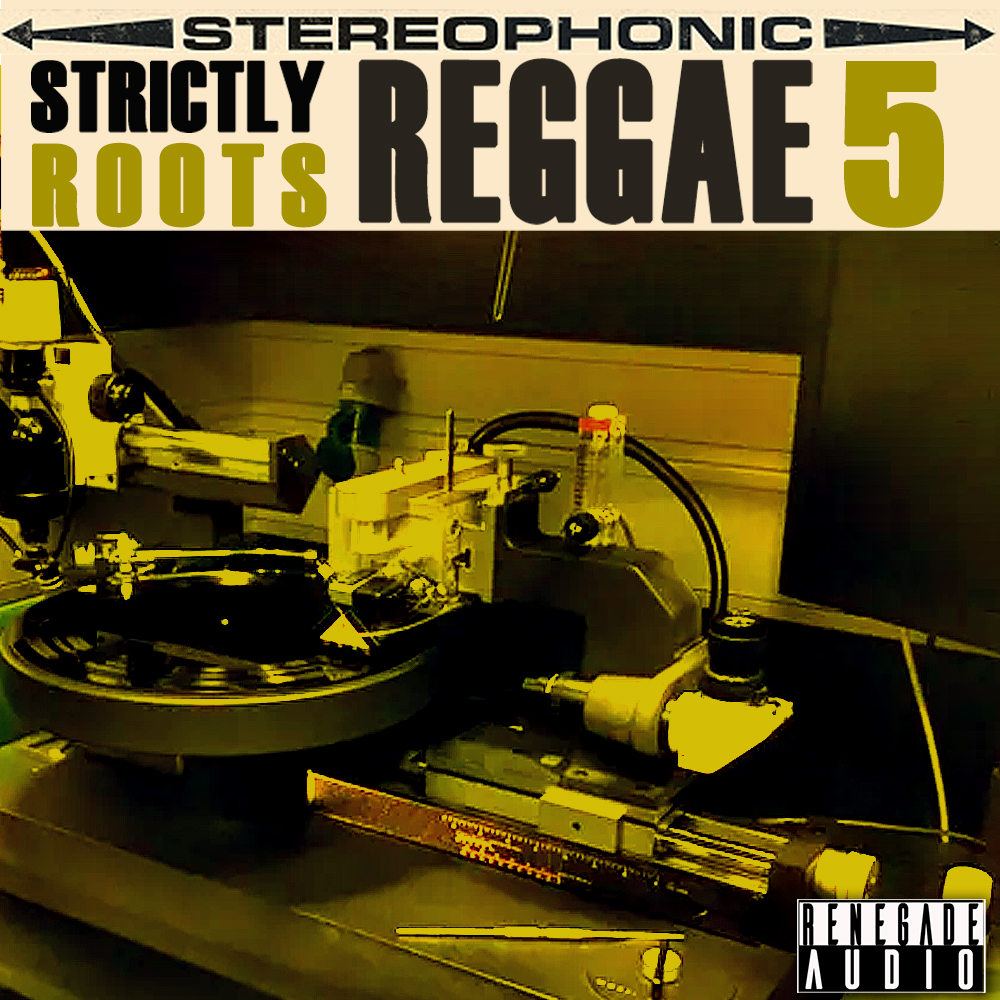 Strictly Roots Reggae Vol 5 Renegade Audio Dub And Reggae Samples