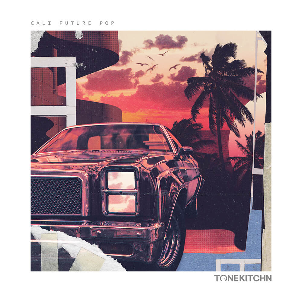 Royalty Free Pop Samples, Future Pop Vocals, Future Pop Synth Loops,