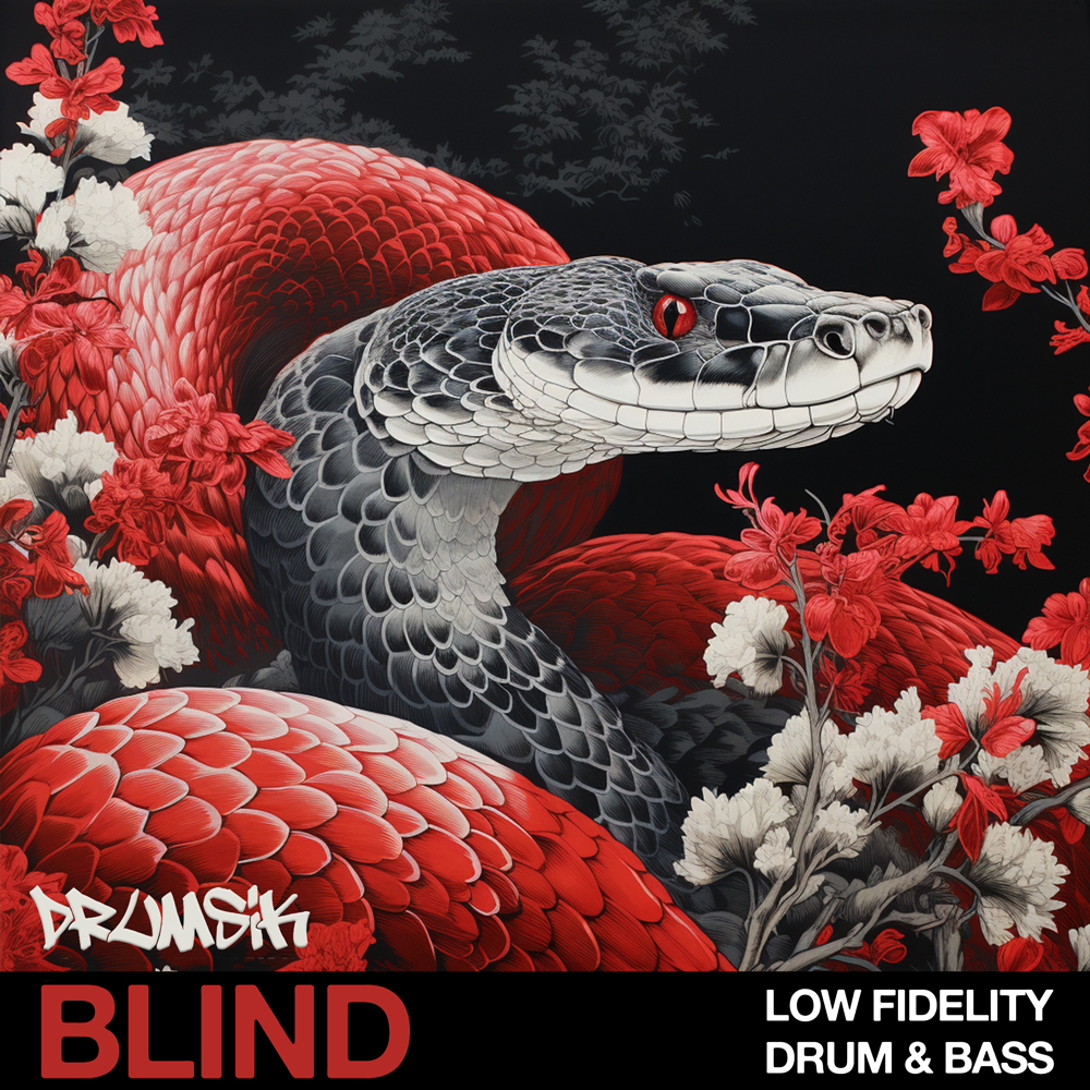 Low Fidelity Drum & Bass, Blind Audio, Drumsik, Royalty-Free Samples,