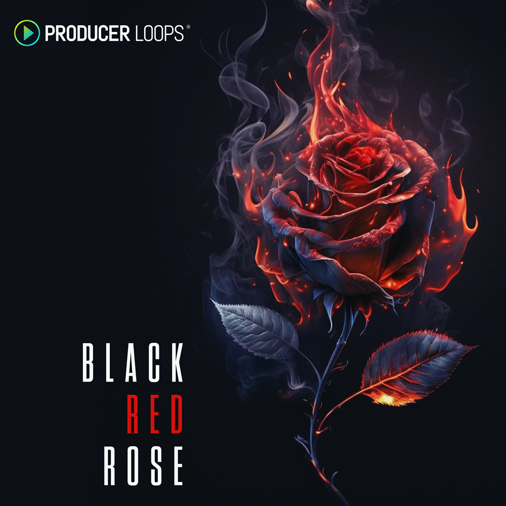 Black Red Rose, Producer Loops, Royalty-Free Samples, Copyright Free