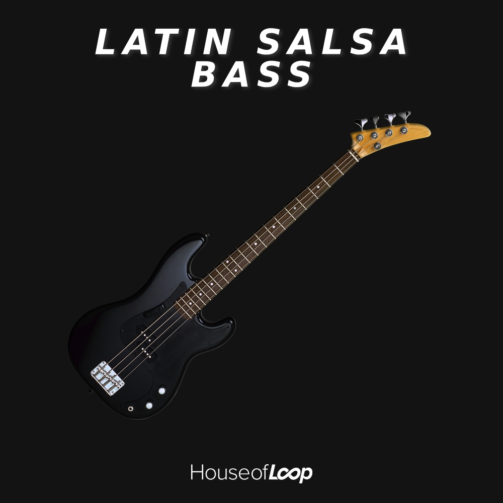 Latin Salsa Bass, House Of Loop, Royalty-Free Samples, Copyright Free