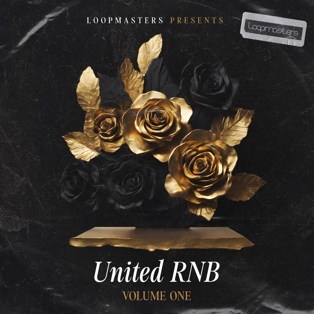 Royalty Free RnB Samples, RnB Synth Loops, RnB Keys Loops, RnB Guitar